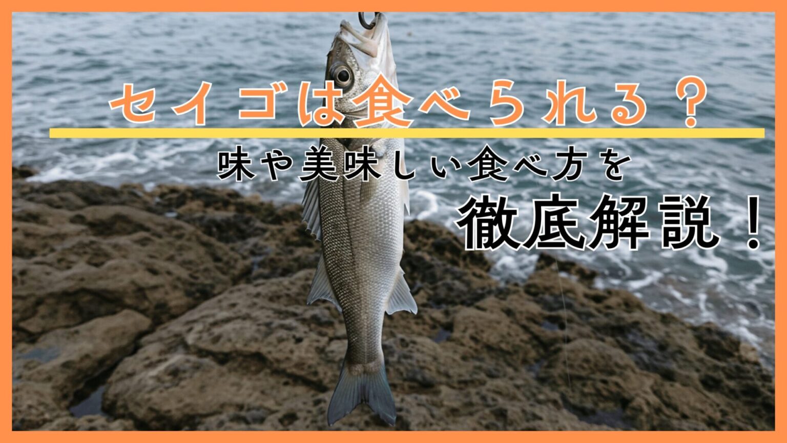 セイゴの食べ方を徹底解説!まずい？おいしい？スズキとの違いやオススメの料理レシピも紹介！ - つりはる〜釣り情報発信メディア〜
